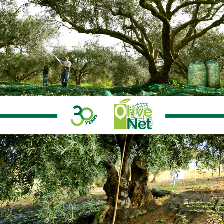Ελαιοπαραγωγή - Συγκομιδή Ελαιοκάρπου - Olive Net - Φανουράκης Οβεε